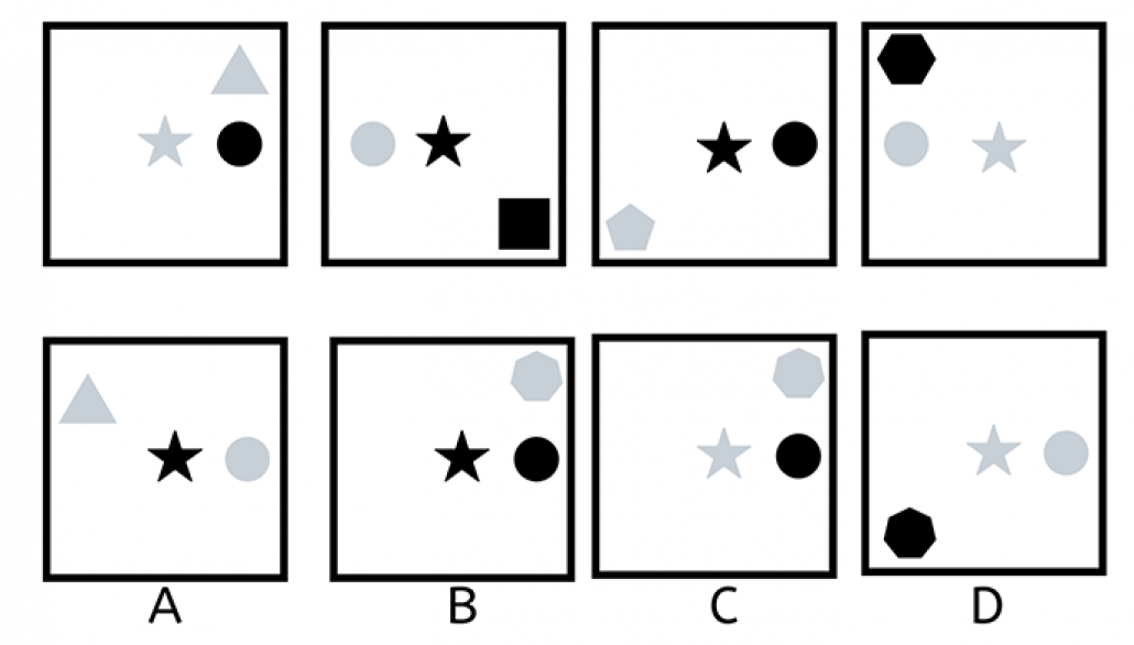 PI Cognitive Assessment på Dansk - Træningstests bliv bedre i dag